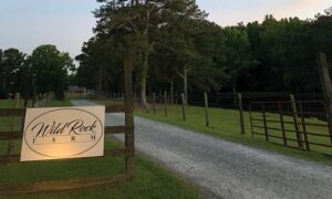 Gravel Driveway | Picturesque Wedding Environment